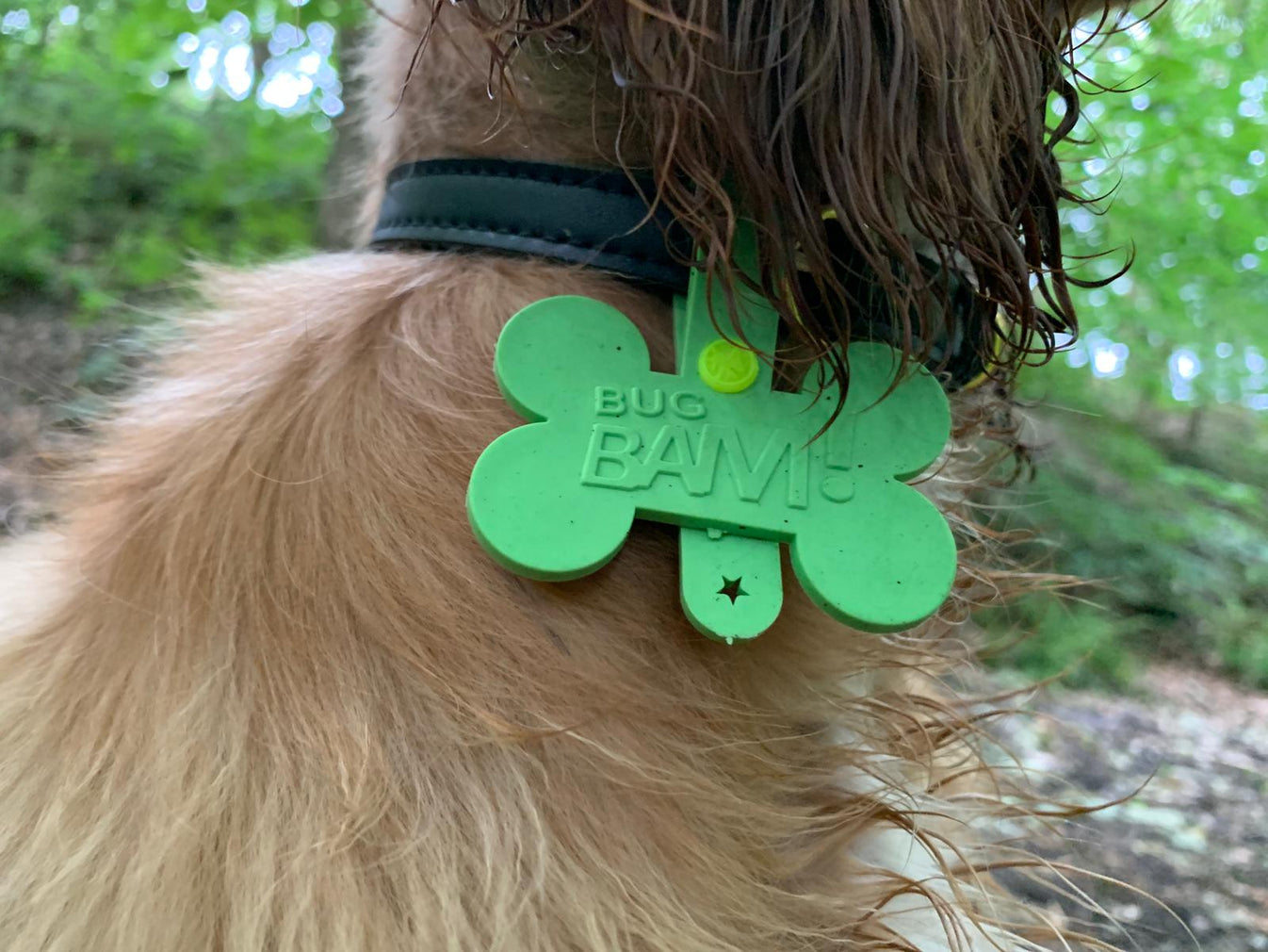 Mosquito, Flea & Tick Pet Tags - Repellent for dogs. – Bug Bam